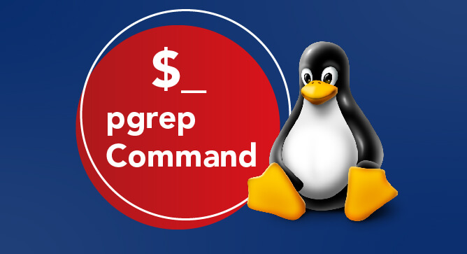 Check Running Process in Linux Command | More than One Way to do it
